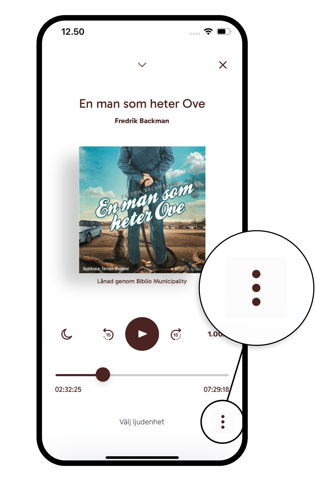 Kan jag lyssna på en ljudbok offline?